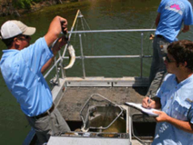 What Is Electrofishing? - Clearwater Consulting